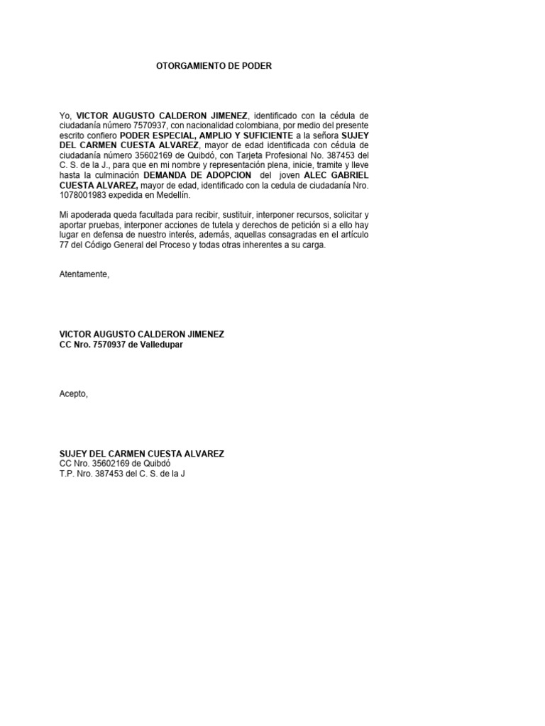 Poder Especial para Demanda de Adopción | PDF