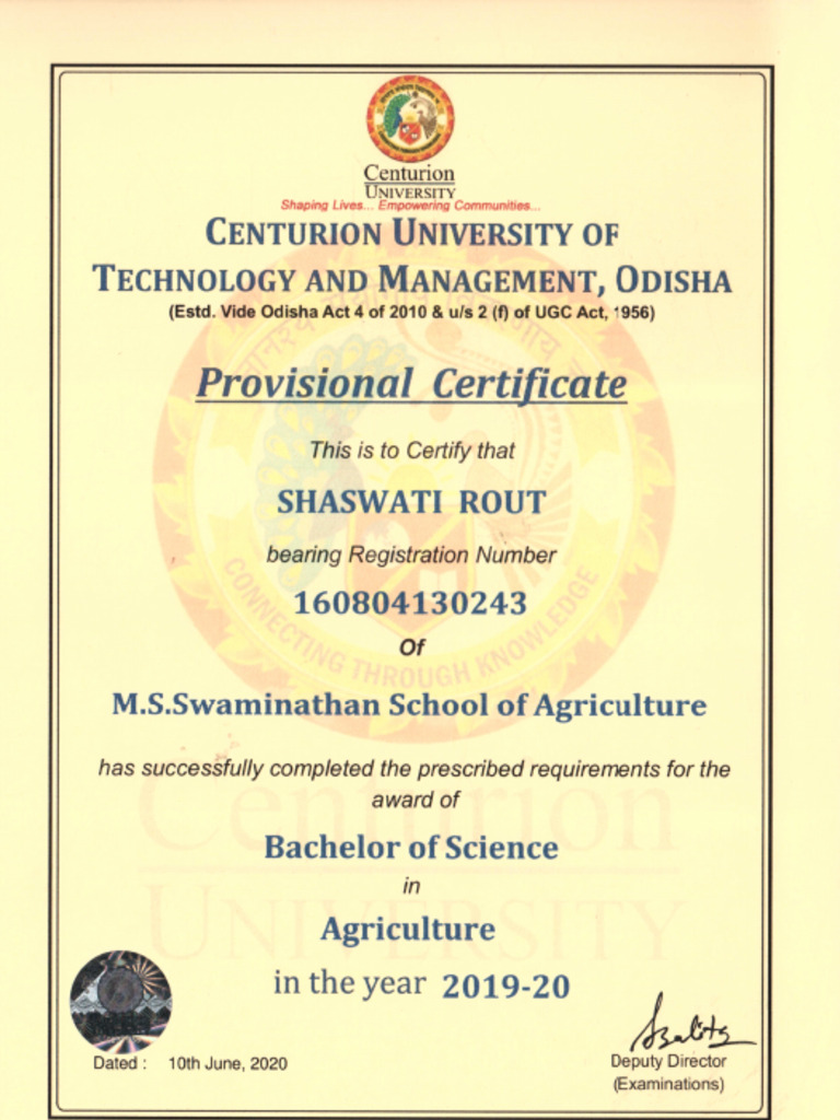 Provisional Certificate | PDF