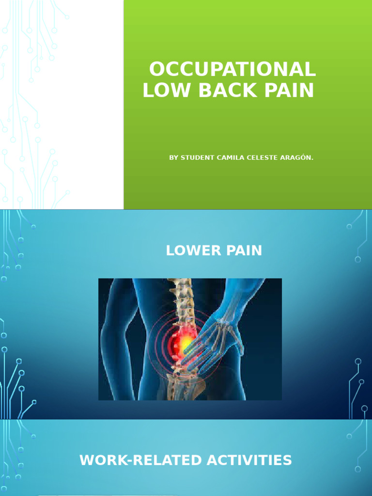 Occupational Low Back Pain | PDF