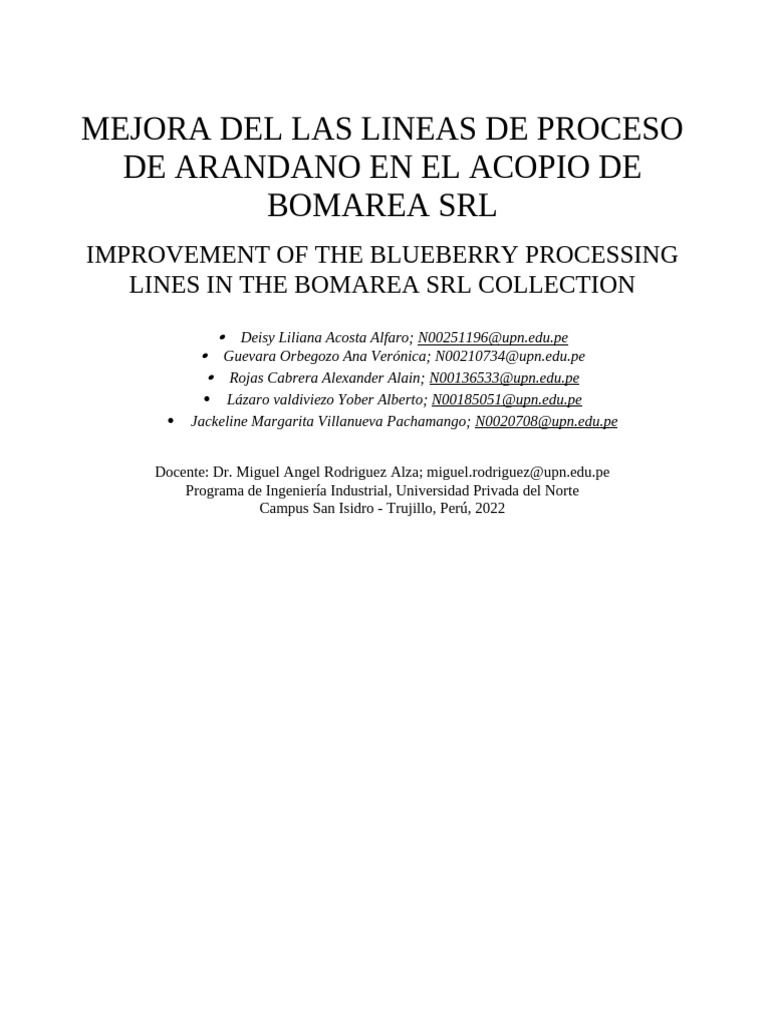 T1 - Capstone Project - Grupo 8 | PDF | Ingeniería