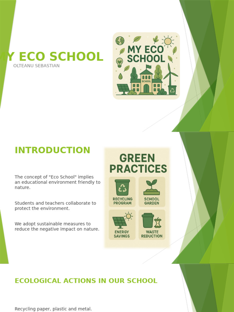 Proiect - Engleza - M3 | PDF