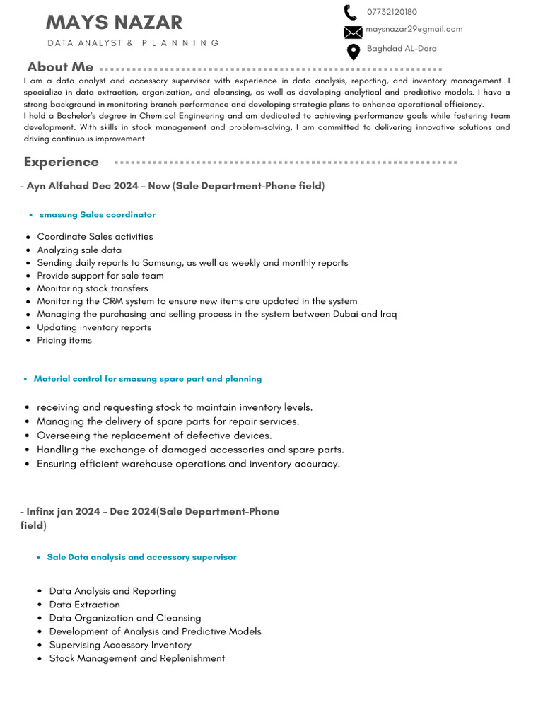 Mays Nazar Cv | PDF | Warehouse | Data Analysis