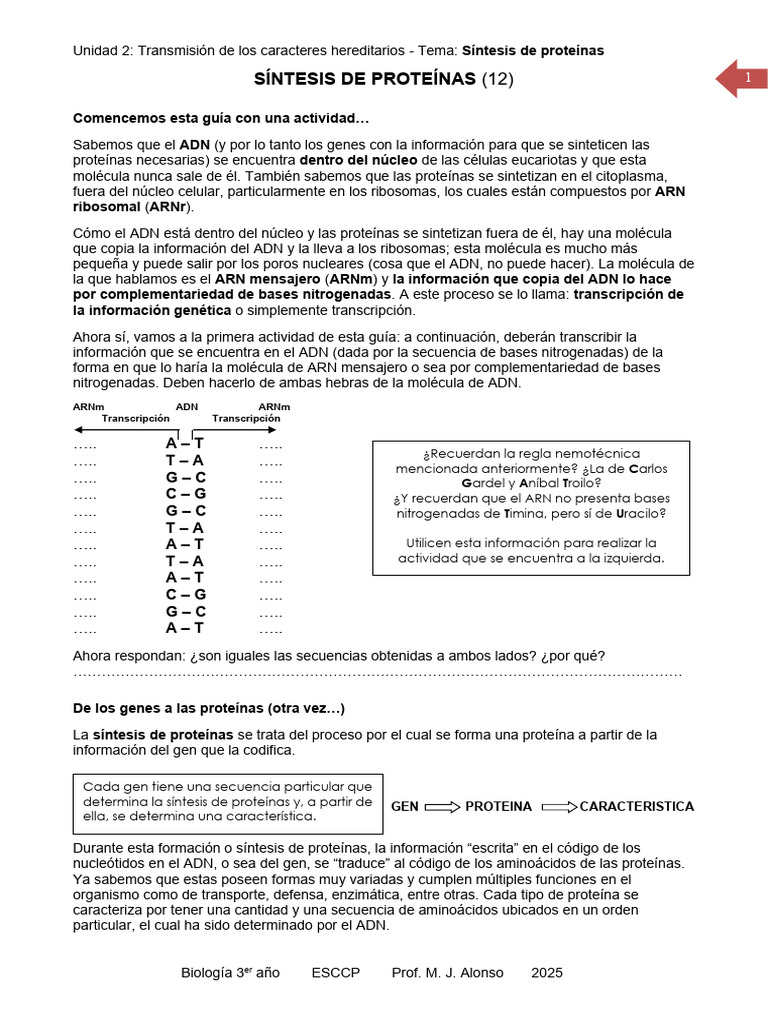 Síntesis de Proteínas: Transcripción y Traducción | PDF | Codigo ...