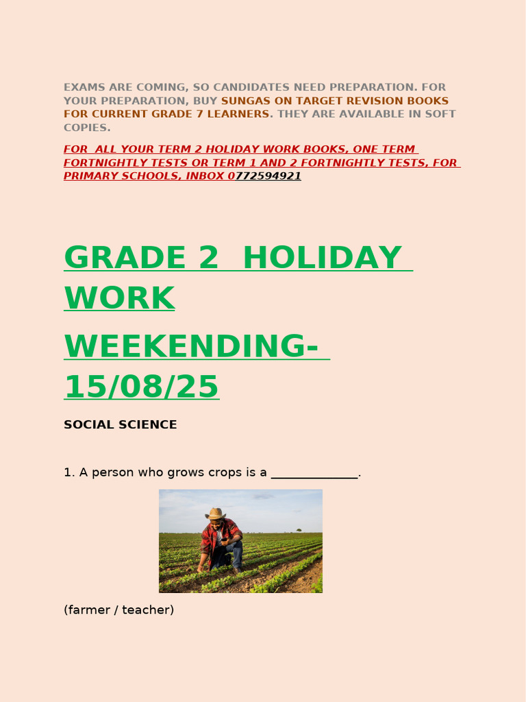 Grade 7 Exam Prep & Holiday Workbooks | PDF