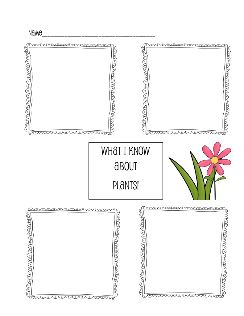 Eric Carle Plants Graphic Organizer | PDF