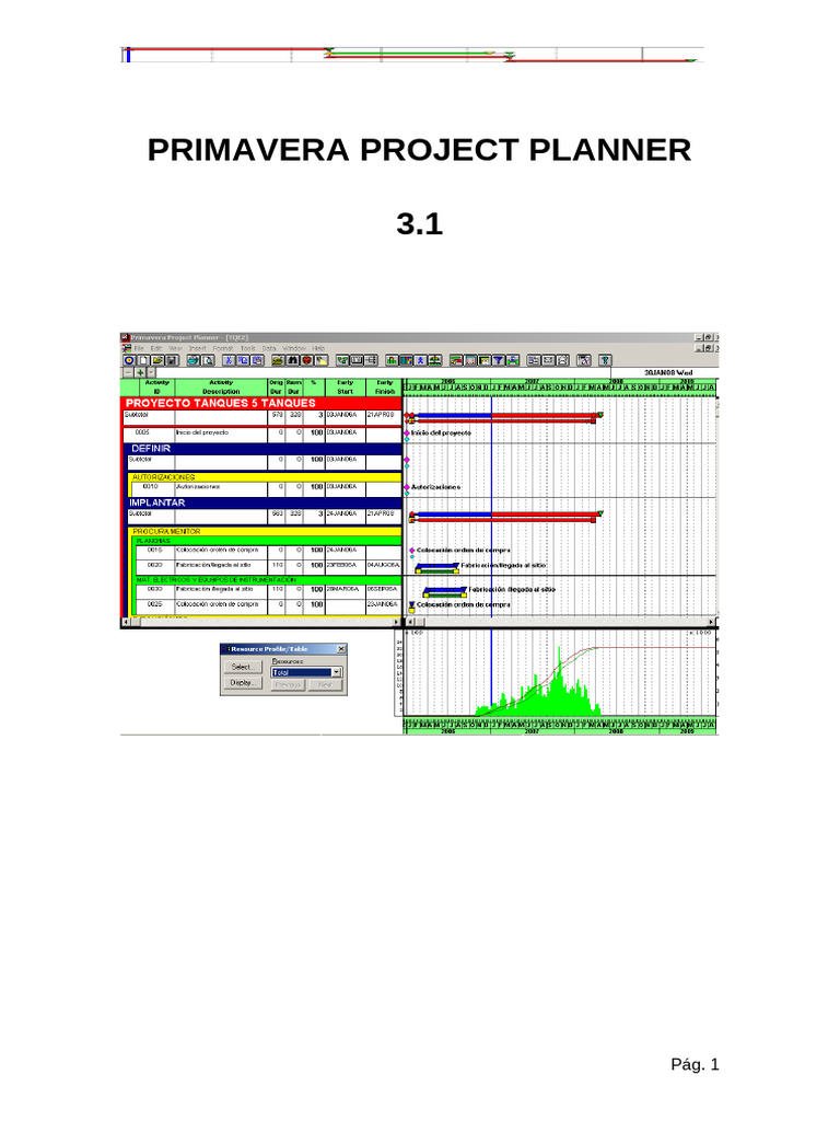 PRIMAVERA 31 A1 | PDF | Archivo de computadora | Microsoft Windows