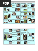 FAS Scale for Veterinary Assessments | PDF | Psychological Concepts ...