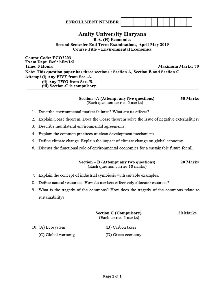 Environmental Economics Exam Questions | PDF