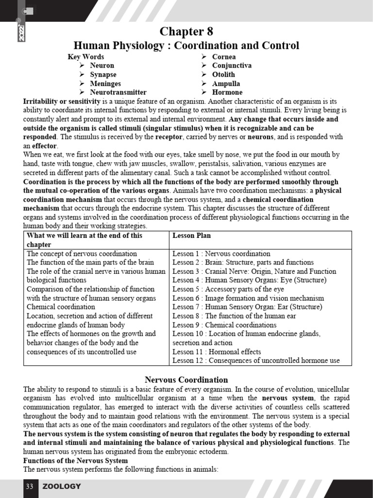Chapter 8 Human Physiology Coordination and Control | PDF | Axon | Neuron