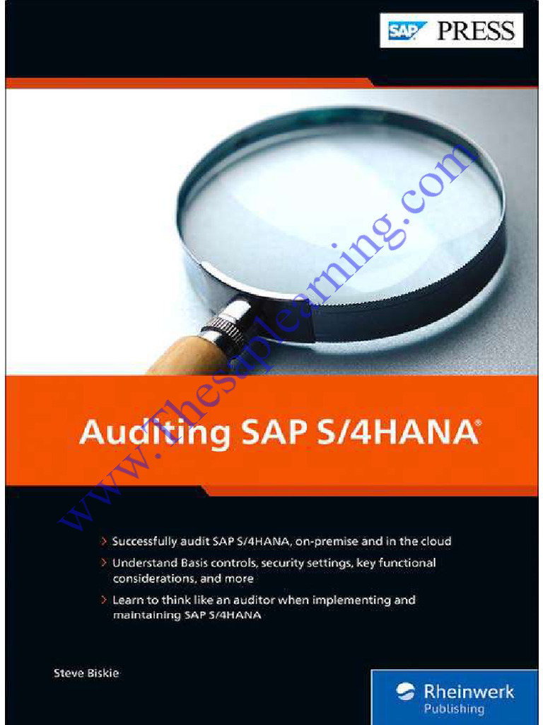 Auditing SAP S4HANA Sample | PDF