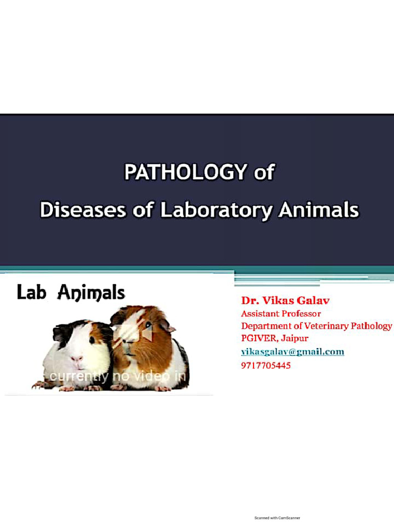 Disease of Lab Animals, Patho | PDF