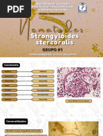 Retortamonas intestinalis: Protozoo Intestinal | PDF | Biología | Medicina
