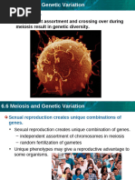Random Fertilisation and Genetic Variation | PDF | Meiosis | Biological ...
