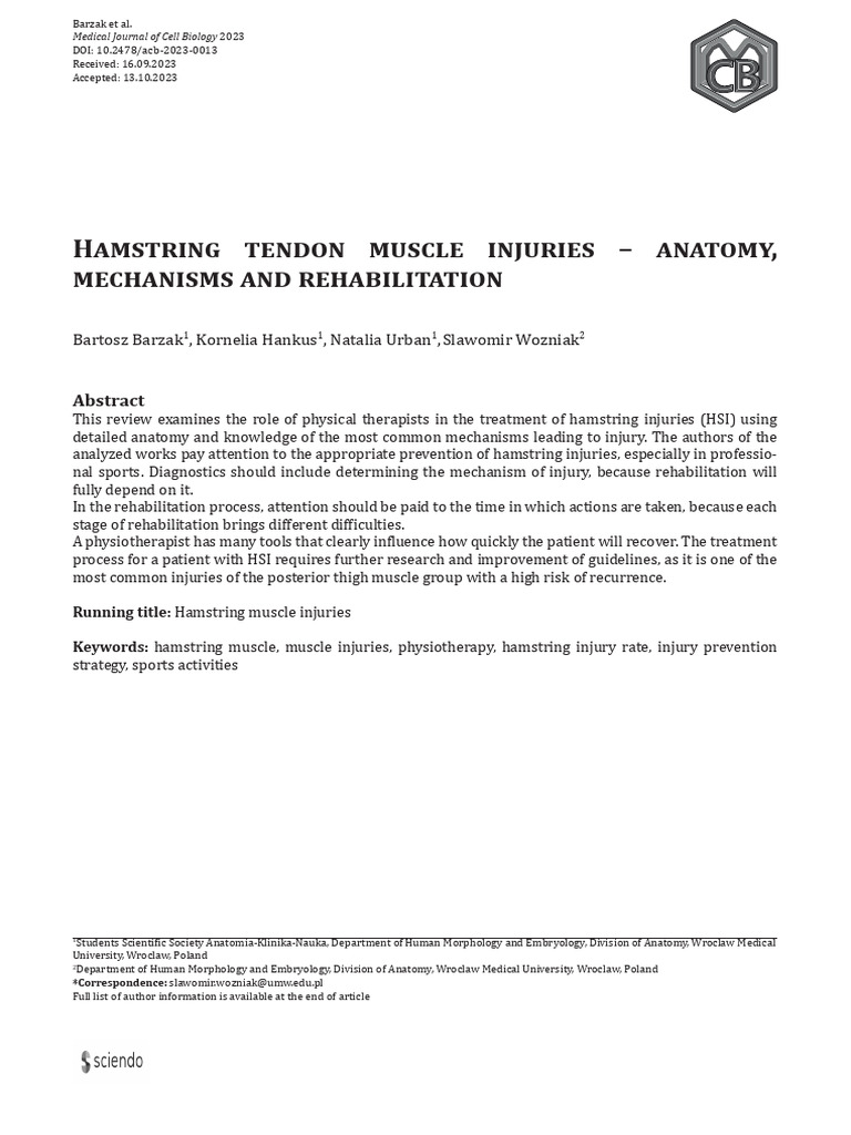 Hamstring Tendon Muscle Injuries Anatomy Mechanisms and Rehabilitation ...