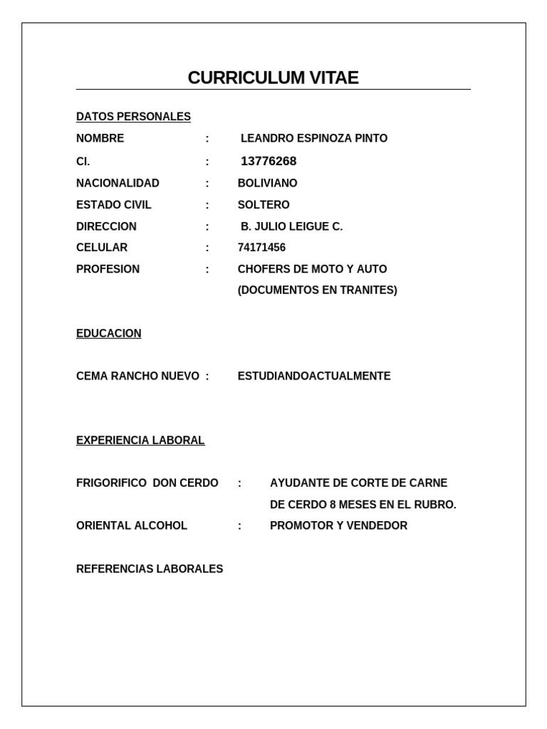 Curriculum Vitae Leandro | PDF