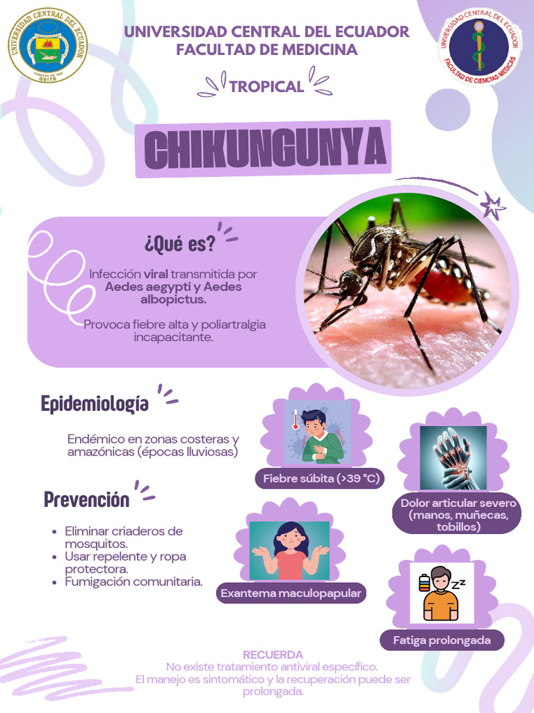 Prevención de Chikungunya y Dengue | PDF | Enfermedades virales ...