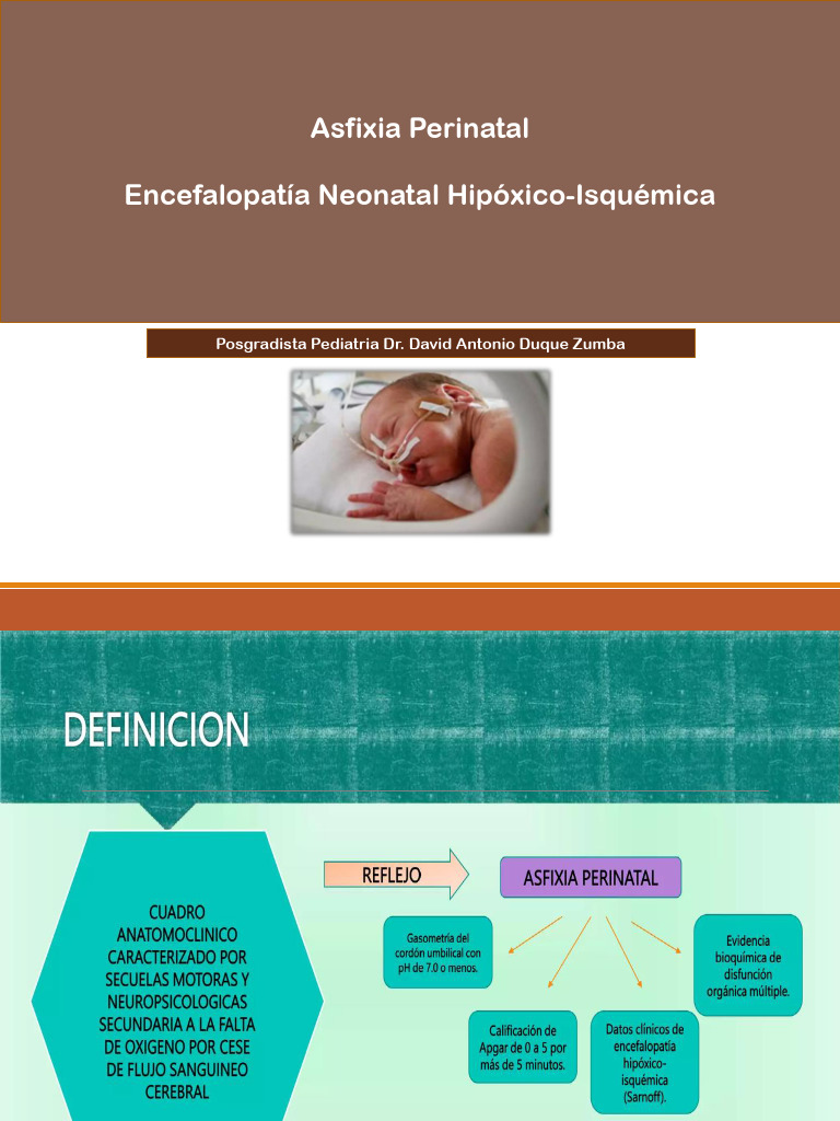 Encefalopatia Hipoxico Isquemica David Duque Hoy | PDF
