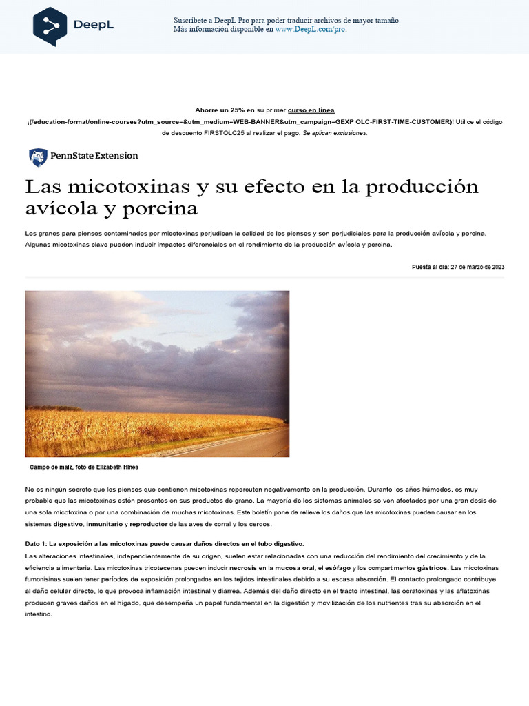 Impacto de las micotoxinas en aves y cerdos | PDF | Micotoxinas | Digestión