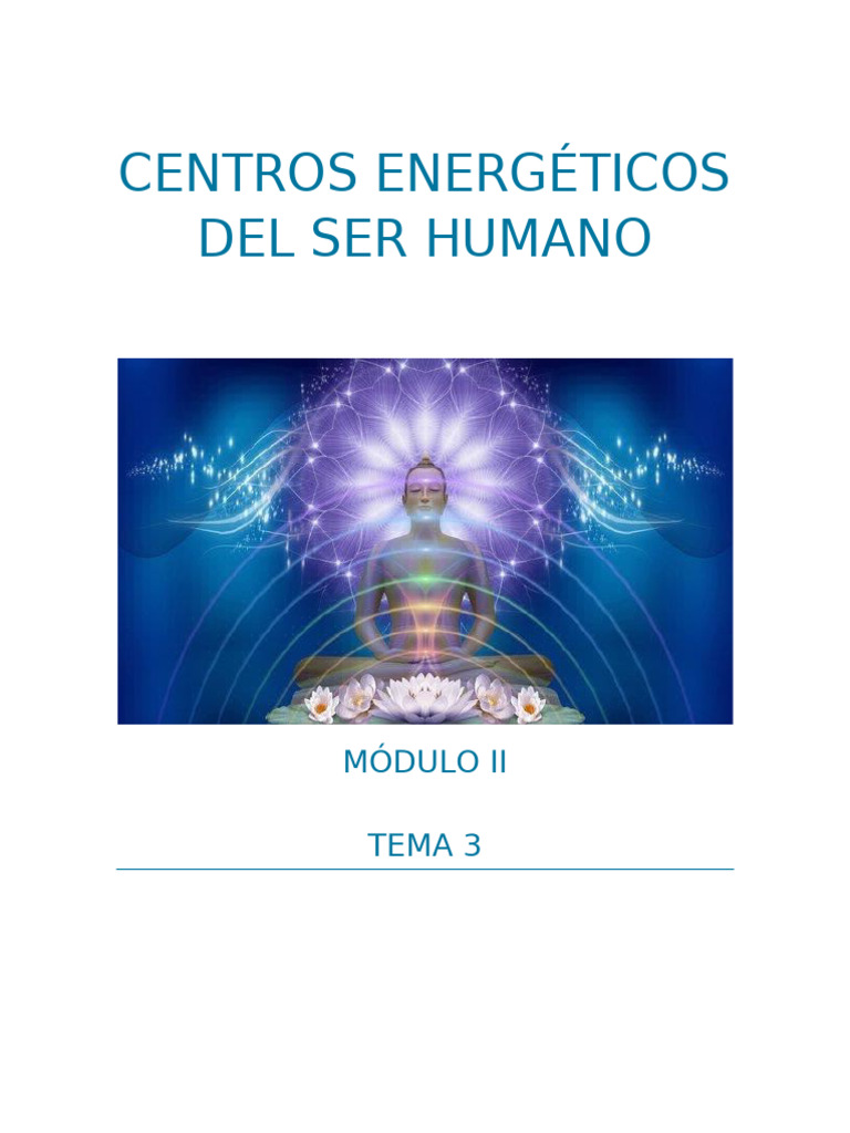 VEMD MODULO II Tema 3 CENTROS ENERGETICOS DEL SER HUMANO | PDF | Abdomen | Mantra