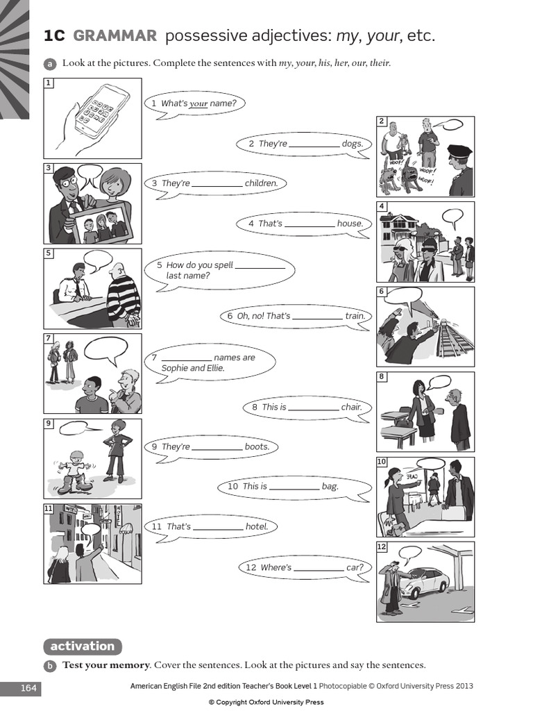 Possessive Adjectives Practice Exercises | PDF | Syntax | Language Families