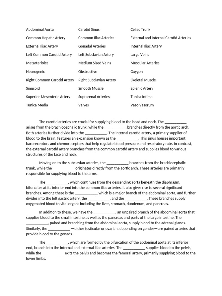 Lab - Veins & Arteries Worksheet | PDF | Aorta | Vein