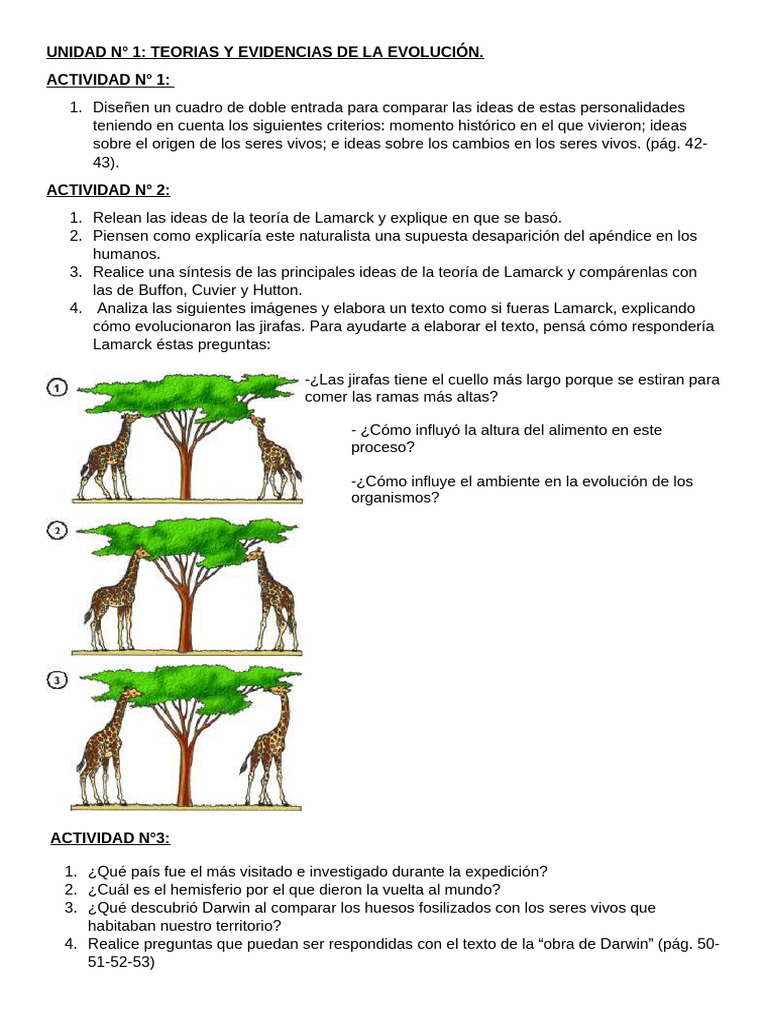 Teorías Evolutivas Lamarck Y Darwin Pdf Evolución Charles Darwin
