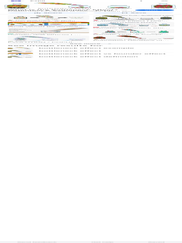 Bottleneck Effect Meaning - Google Search | PDF