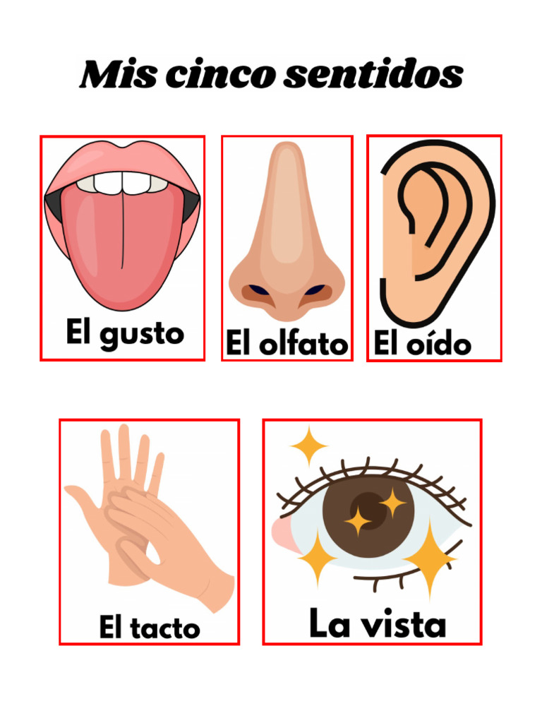 Mis Cinco Sentidos - Mabi | PDF