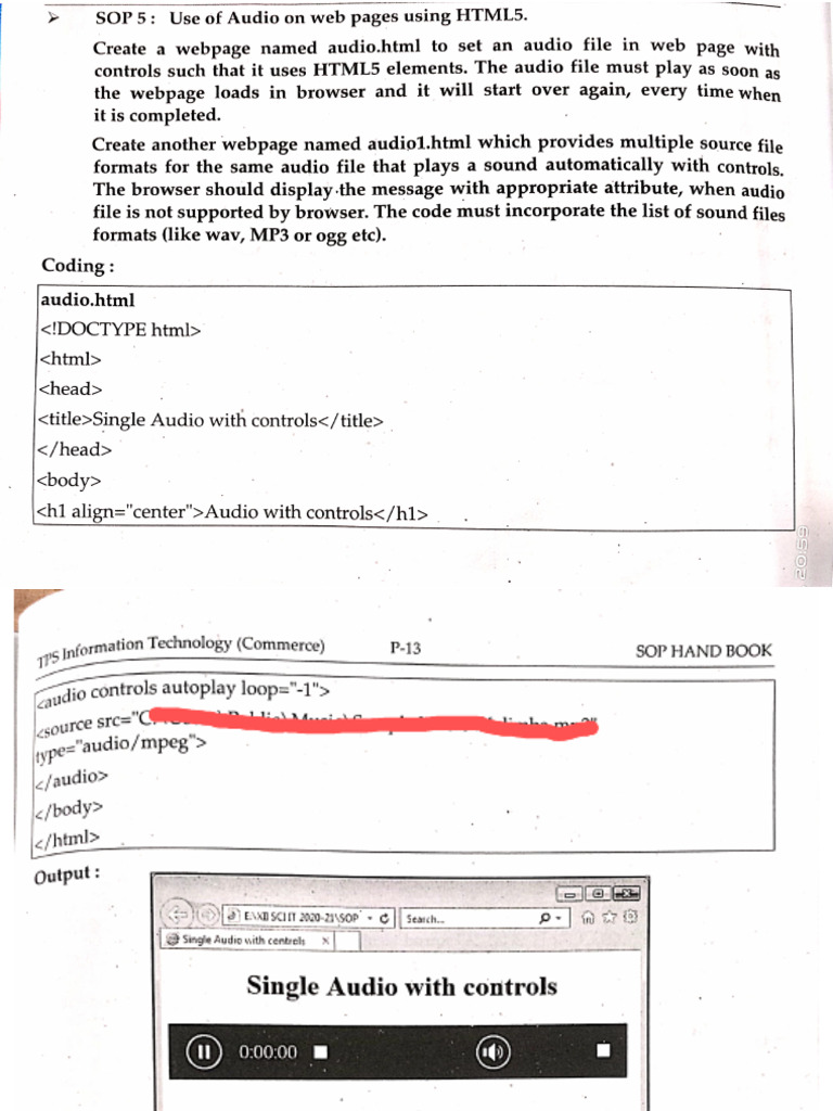 HTML Audio Sop5 | PDF
