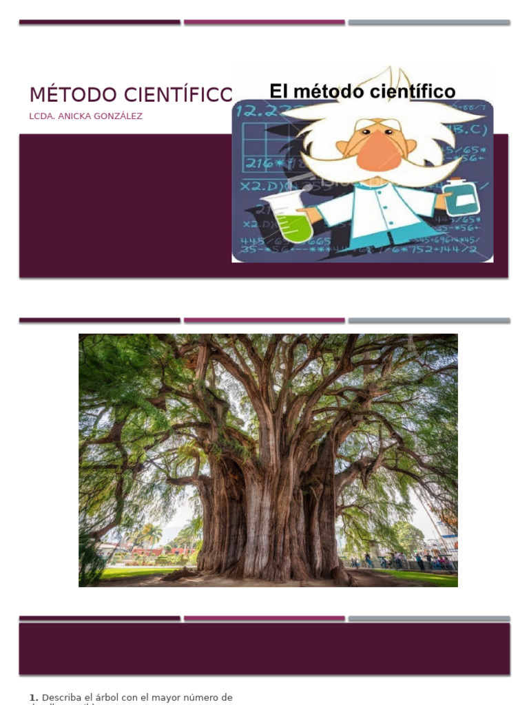 Método Científico: Pasos y Características | PDF | Método científico ...