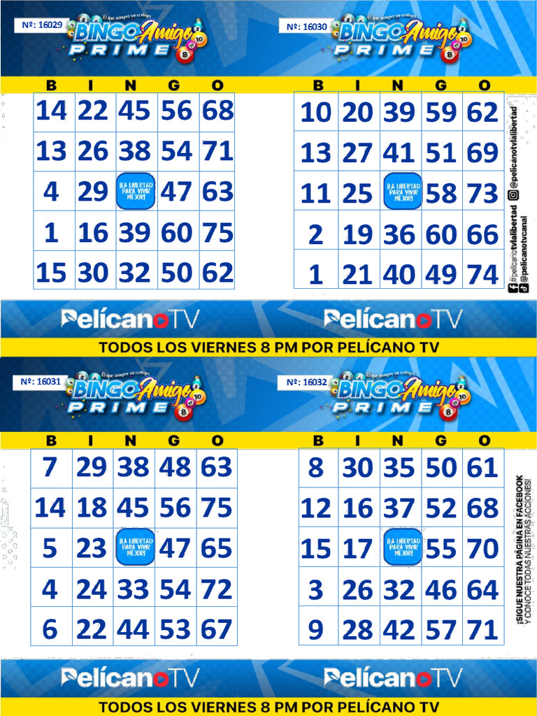 Bingo Amigo Prime Tabla 16029 16032 | PDF