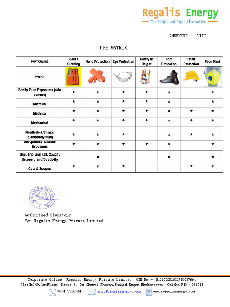 PPE Assessment Matrix - Annexure VIII | PDF