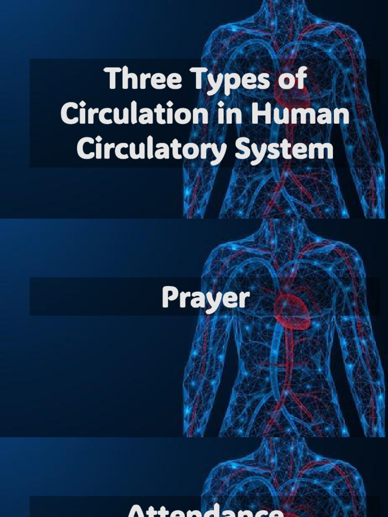 5_Three Types of Circulation in Human Circulatory System | PDF