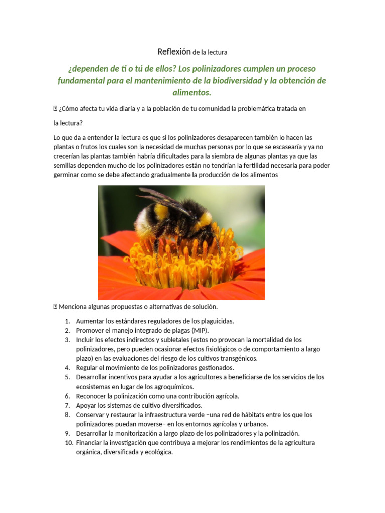 Reflexión de La Lectura | PDF