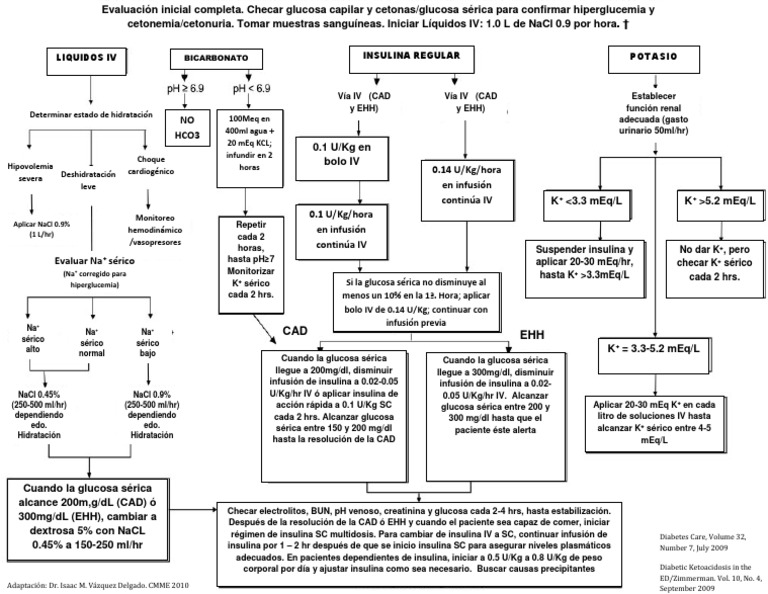 Algoritmo Cad-Ehh 2009 | PDF | Medicina CLINICA | Especialidades Medicas