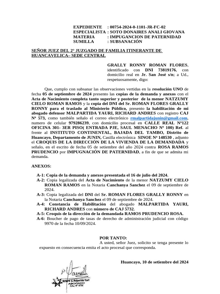 Subsanacion Ronny Impug. de Paternidad | PDF | Ley común | Justicia