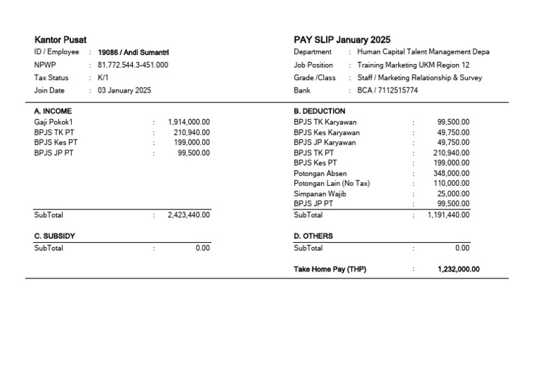 January 2025 Employee Pay Slip Summary | PDF