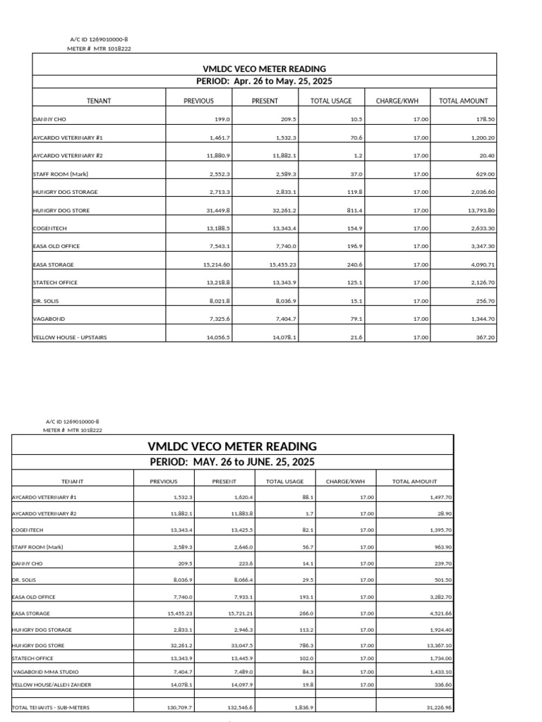VECO Meter Reading Summary 2025 | PDF