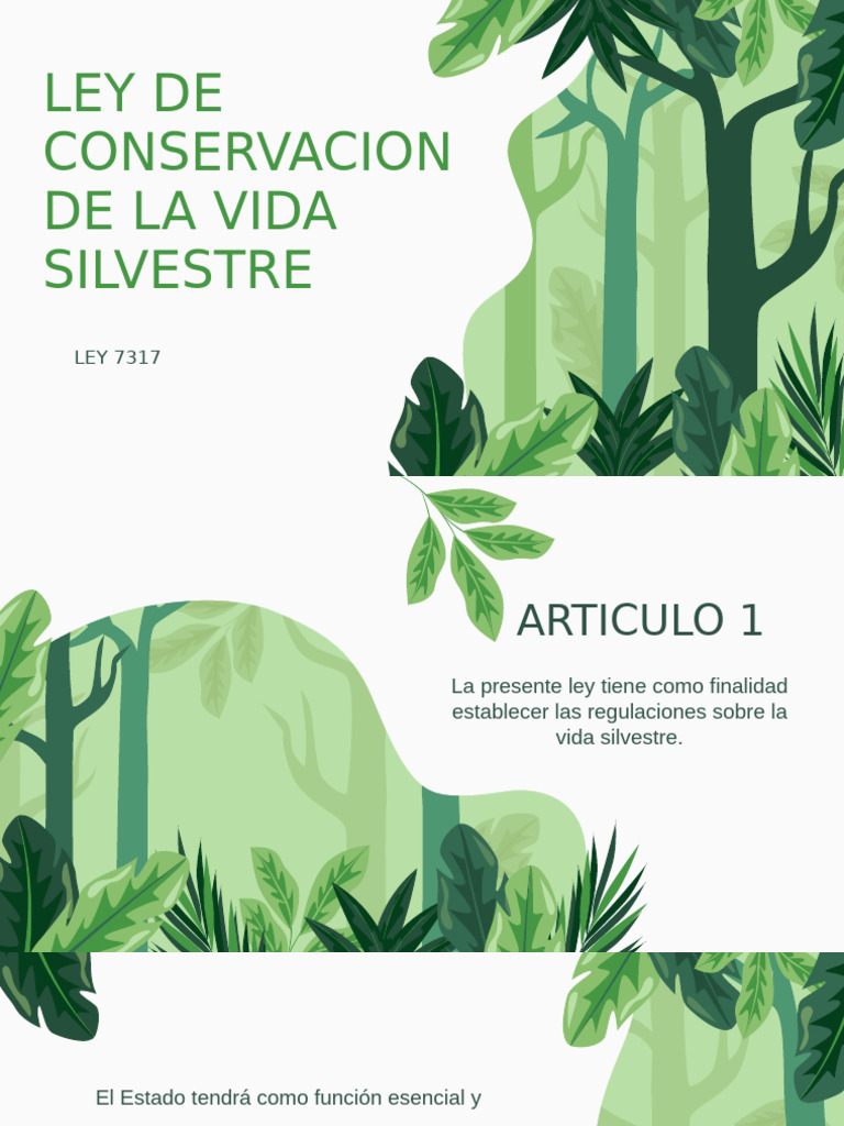 Presentacion Trabajo de Exposicion Sailyn Vargas Mora | PDF | Fauna ...