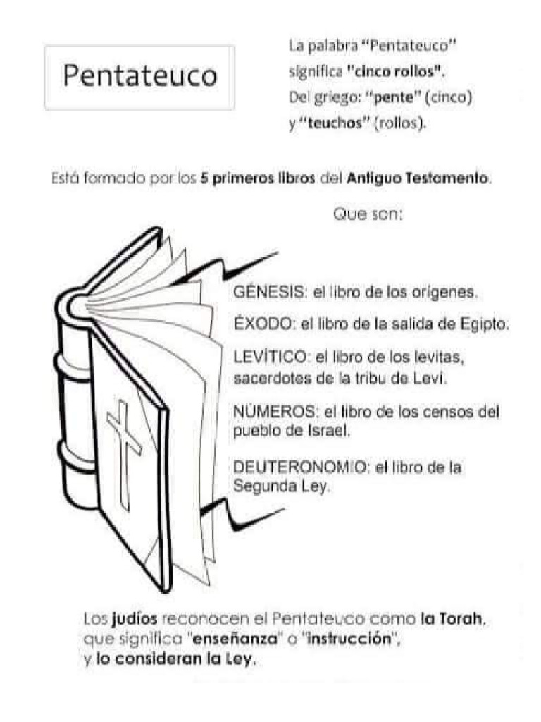 Actividades para El Nuevo Testamento | PDF