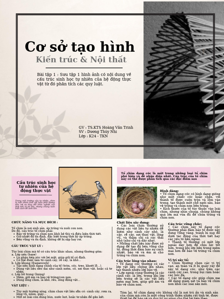 T Chim | PDF