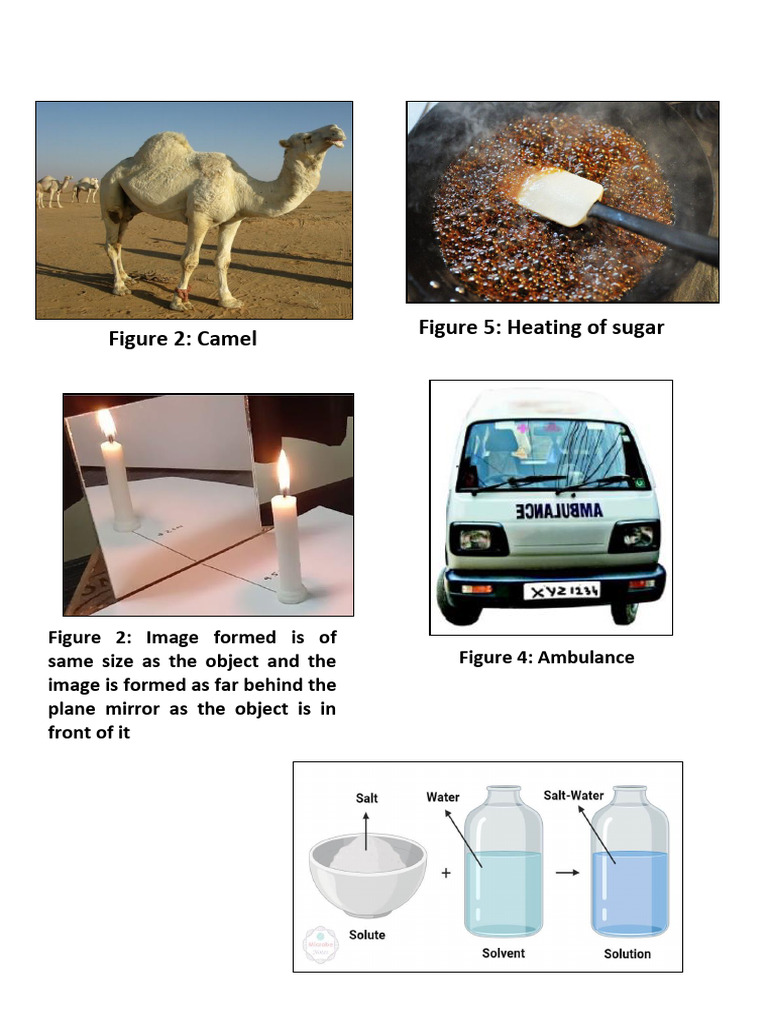 Types of Angles | PDF