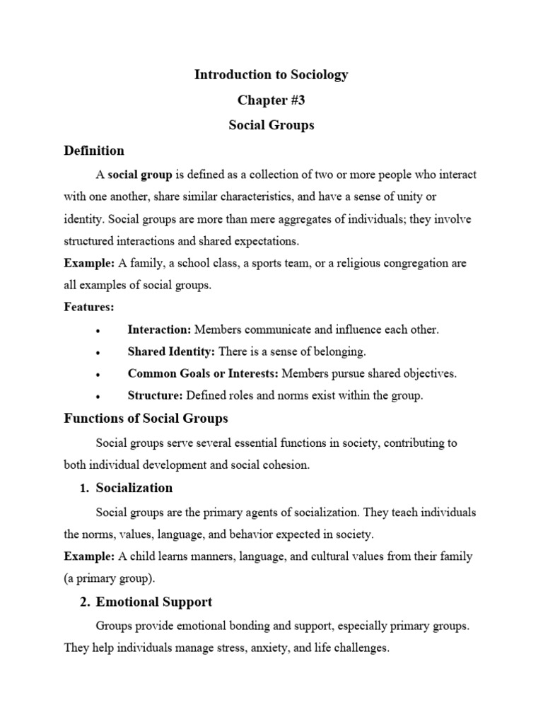 Functions and Importance of Social Groups | PDF | Social Group ...