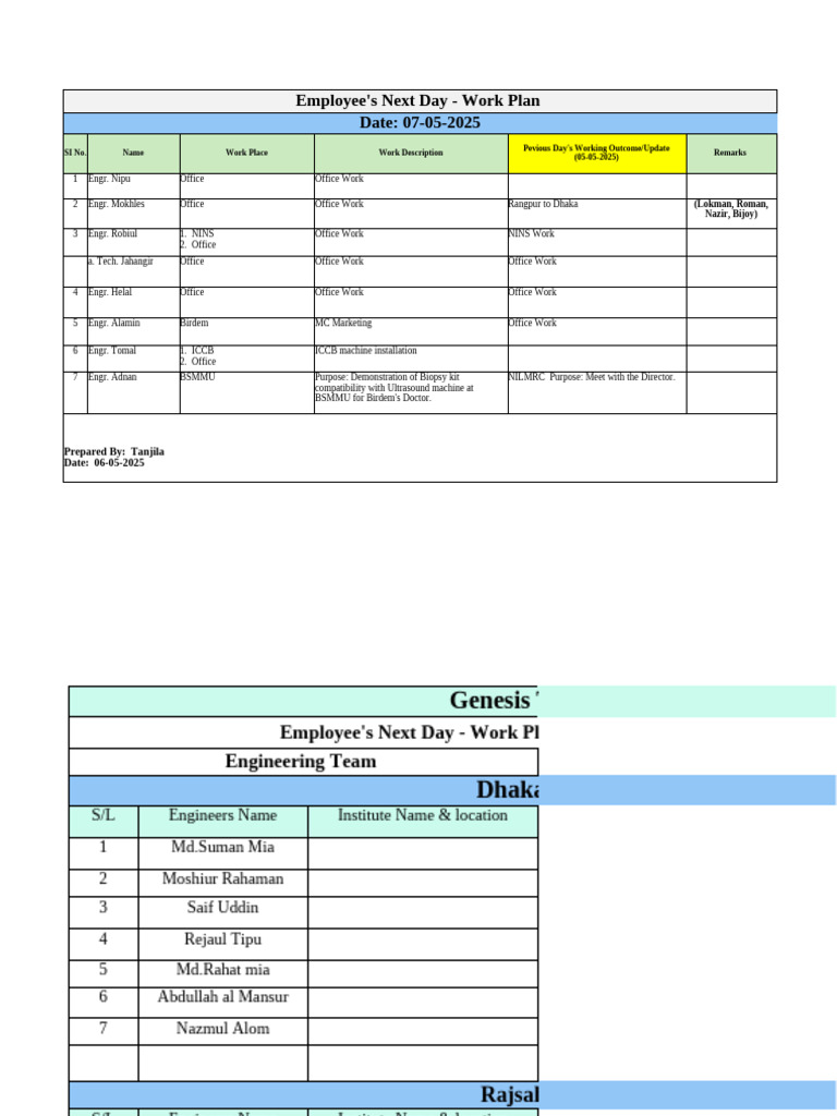 Employee's Next Day - Work Plan - Date-07!05!25 | PDF