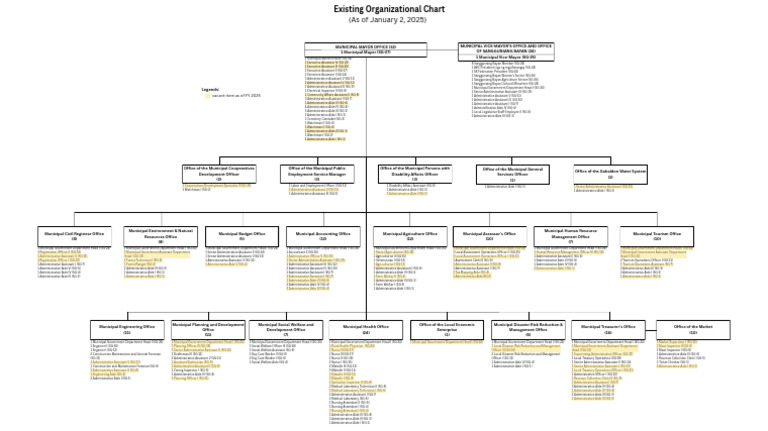 LGU Organizational Chart Overview | PDF | Economies