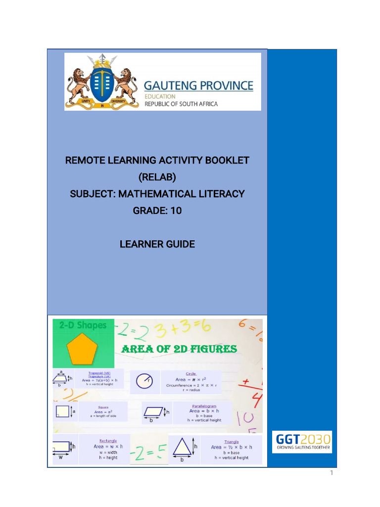 Grade 10 Math Literacy Remote Learning Guide | PDF