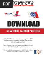 Pilot Transfer Arrangements Guidelines | PDF | Rope | Ships