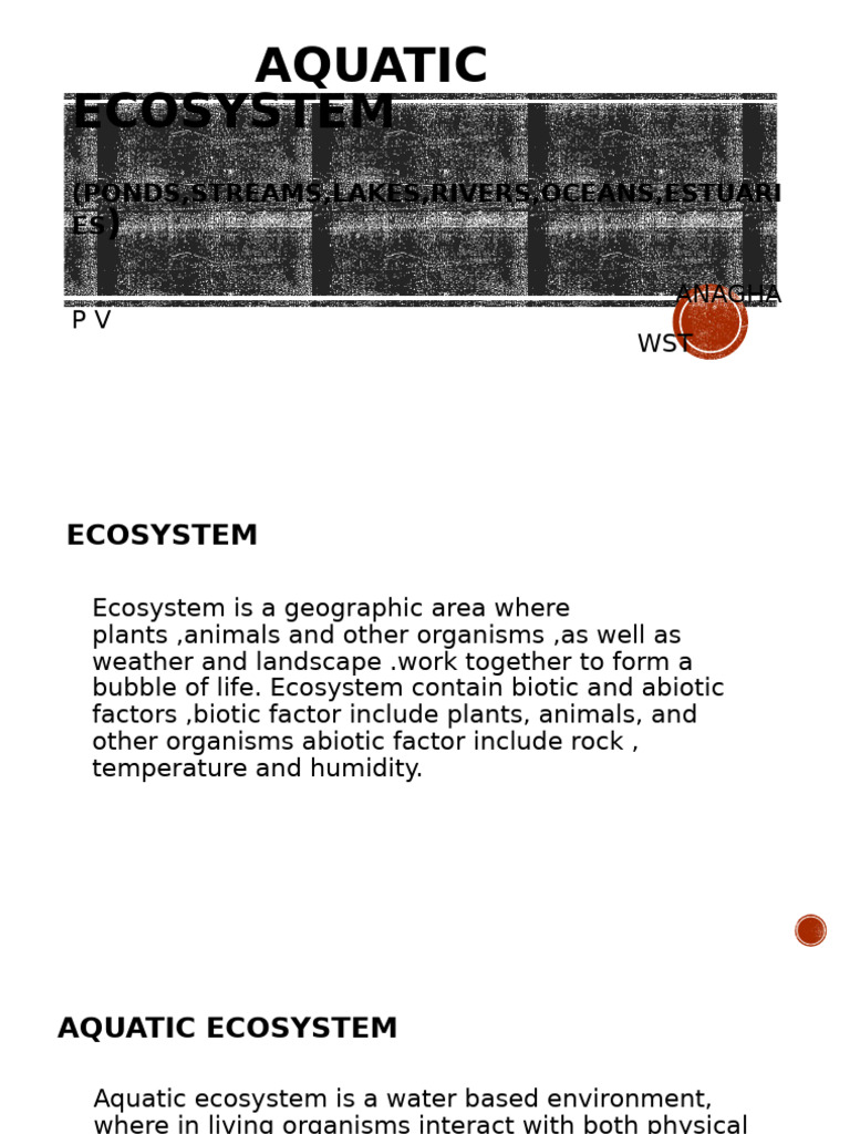 Aquatic Ecosystem | PDF | Aquatic Ecosystem | Estuary