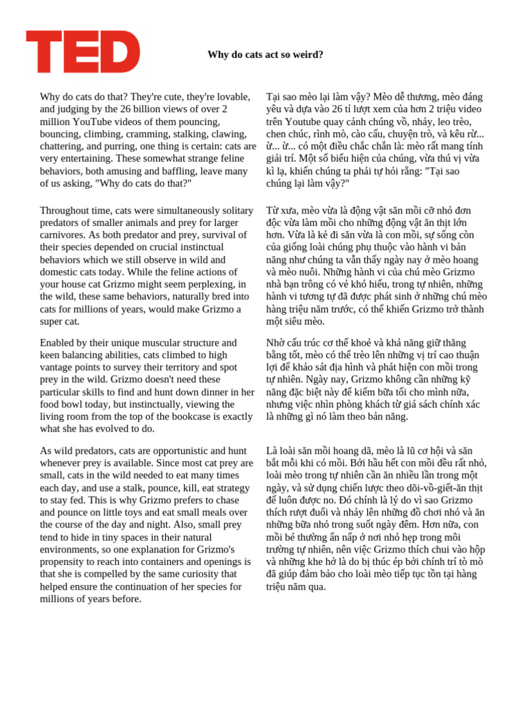 Why Do Cats Act So Weird | PDF