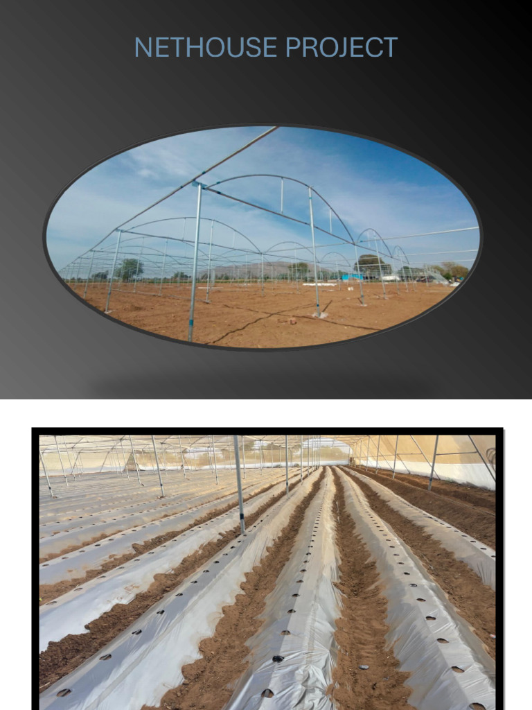Nethouse Farming Profit Analysis | PDF